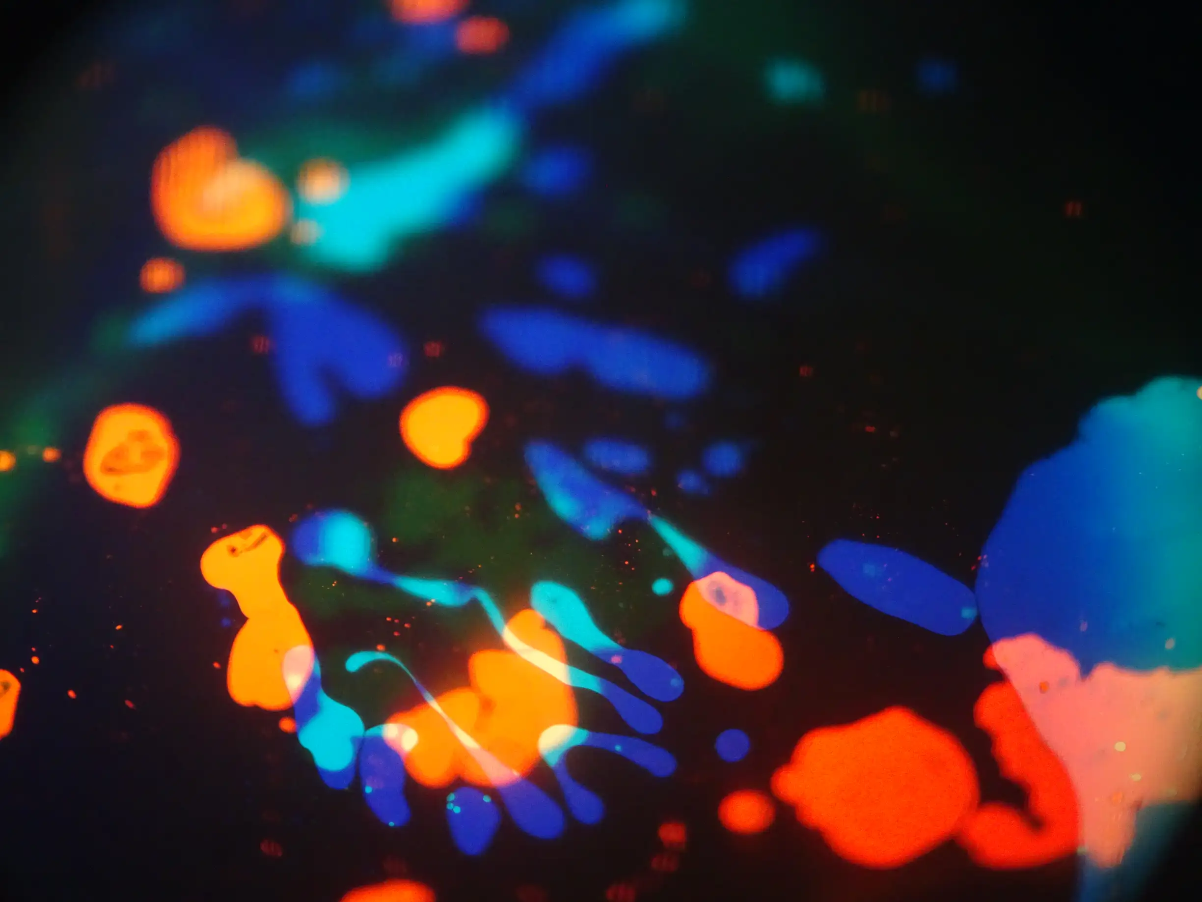 Home | Sector 7G Visuals